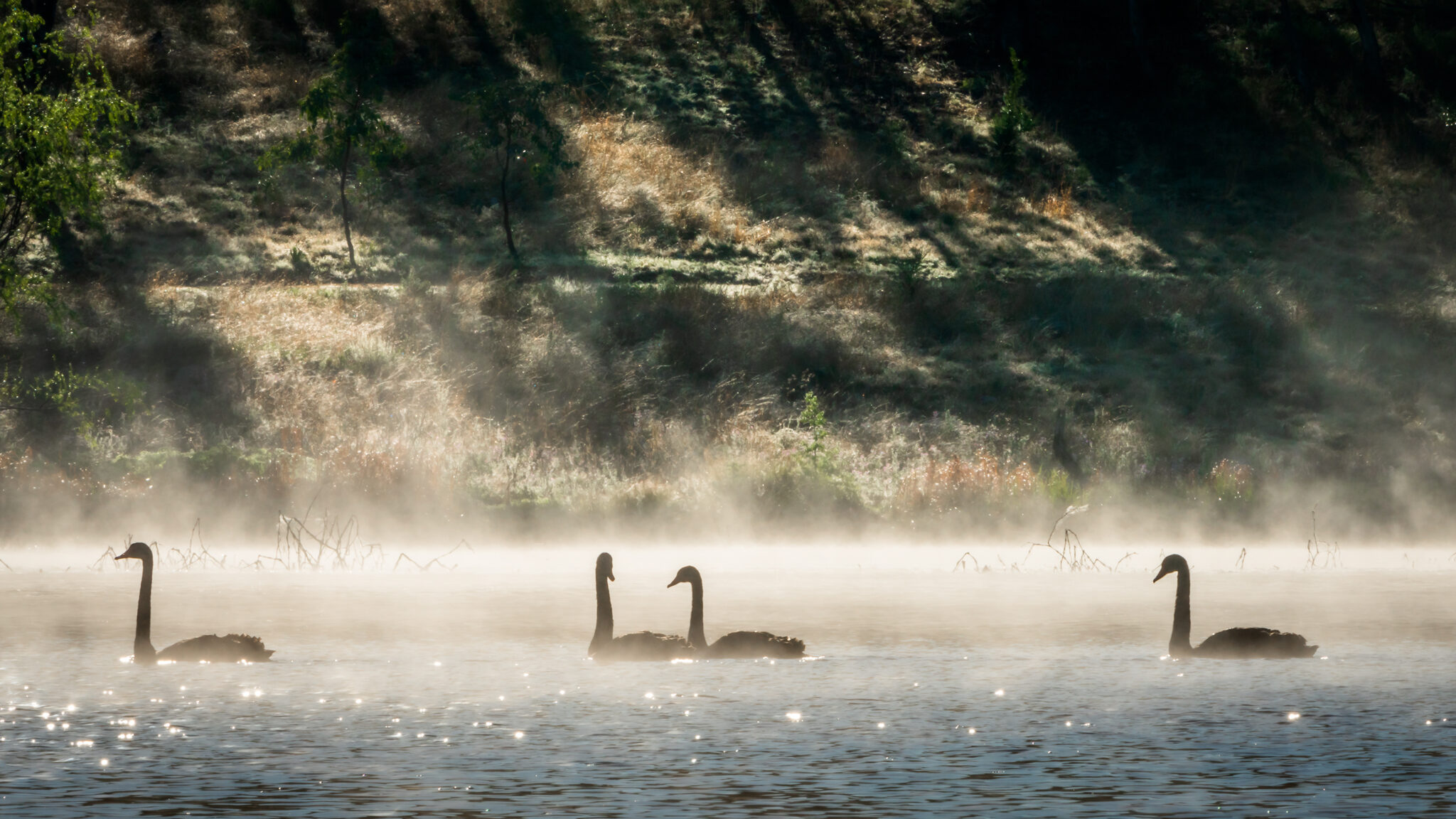 Lake Inverell Revisited | Girt By Sea Photography