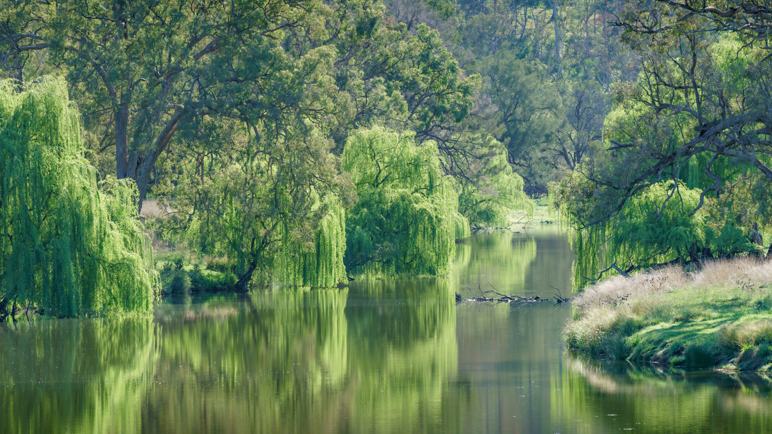 Lake Inverell Revisited | Girt By Sea Photography